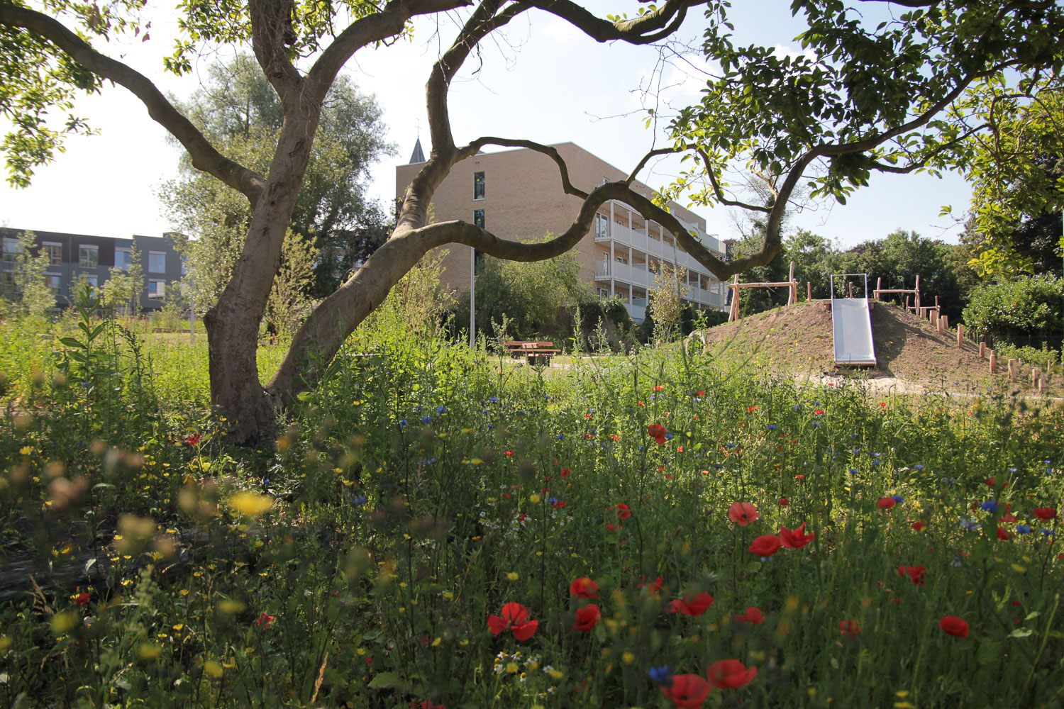 Gavere Egmontpark - Atelier Arne Deruyter